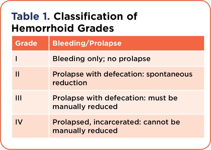 Internal hemorrhoid : 네이버 블로그