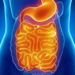 Is That Hospital Stay Setting Up Your Patients for Sepsis?