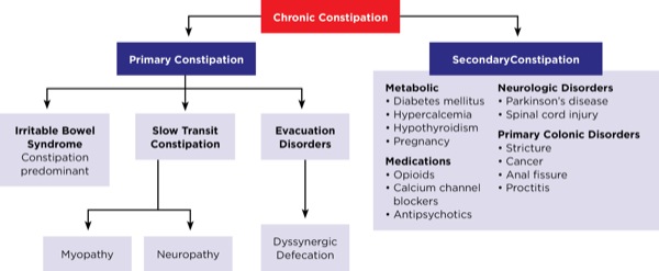 Chronic Constipation: Assessment and Treatment Options