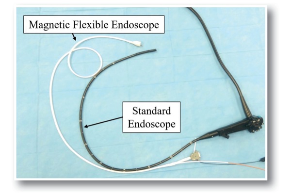 Robotic Endoscope