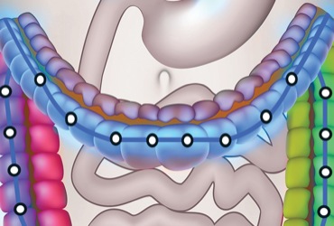 Implantable Mini LEDs Stimulate Colonic Transit
