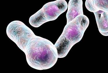 FDA Approves Firvanq to Treat C. diff Colitis