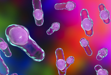New C. difficile Guidelines Recommend New Treatment, Testing Protocols ...