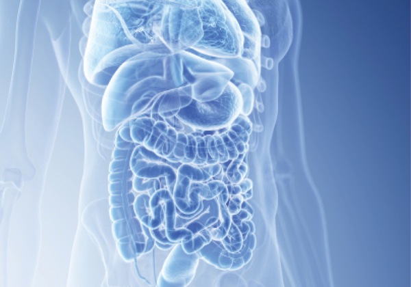 Go Lightly Colonoscopy Prep Instructions | Shelly Lighting