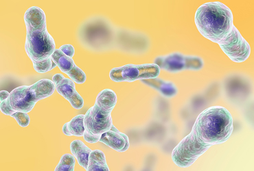 C. difficile: Old Disease, New Changes in Management - Gastroenterology ...