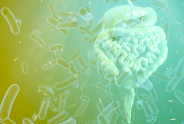 C. difficile May Colonize Colon’s Mucus Layer