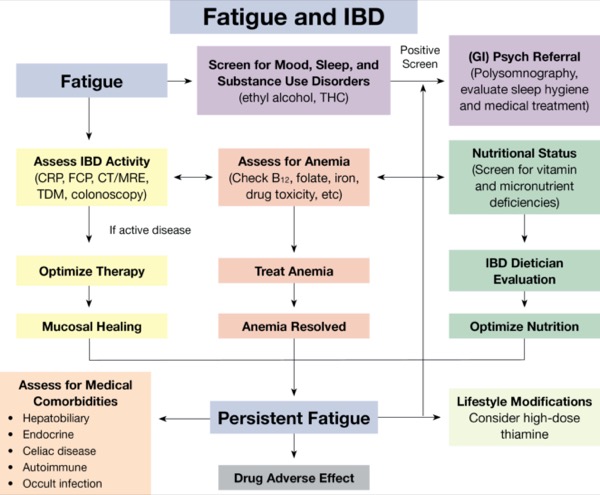 A #MondayNightIBD Conversation: Fatigue, a Frustrating, Multifactorial ...