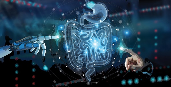 The State of the Art of Artificial Intelligence in Gastroenterology