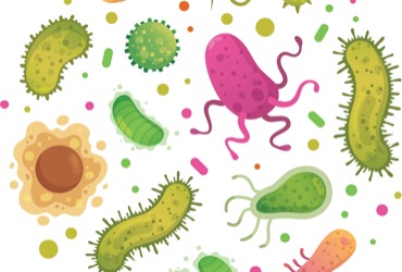 Improving Duodenoscope-Related Infection Control Requires a ...