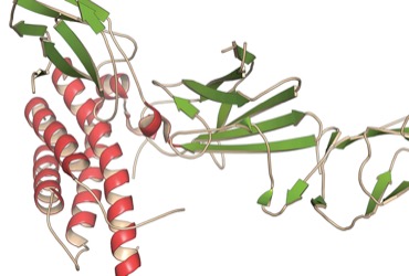 Ustekinumab Vedolizumab Crohn Disease Anti-TNFs