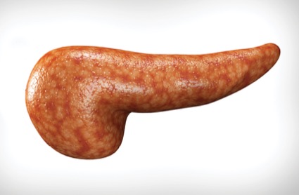 Real Pancreas