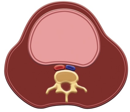 Endoscopy Procedures Pregnant Patients