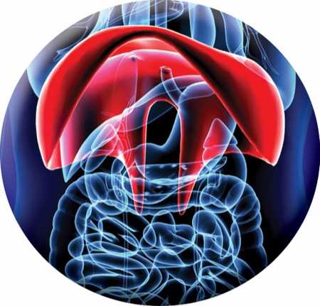 Managing Bloating and Distension: Detective Work to Find the Solution