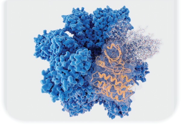 Safety, Efficacy of Subcutaneous Infliximab Supported by Trial