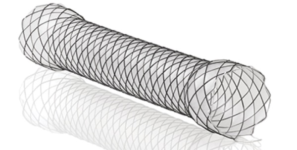 Gastrointestinal Enteral Stents: Esophageal