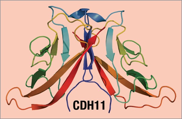Crohn’s Disease Stricture Pathophysiology, and Using Biologics Soon ...