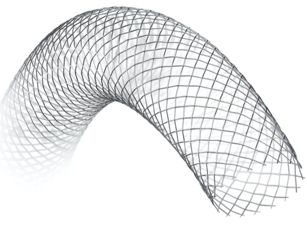 Gastrointestinal Enteral Stents: Gastroduodenal and Transgastric ...