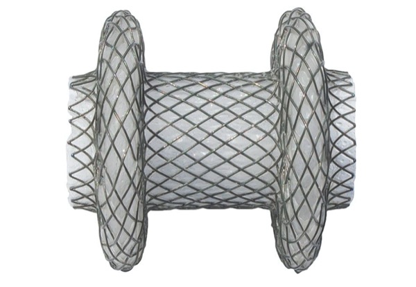Gastrointestinal Enteral Stents: Gastroduodenal and Transgastric ...