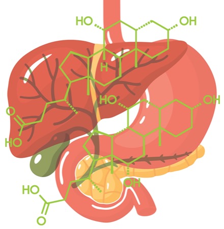 Ubiquitous Bile Acids