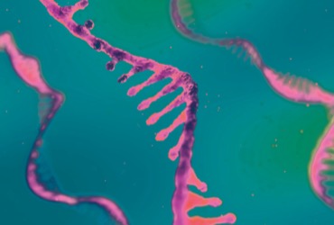 Obefazimod UC ulcerative colitis