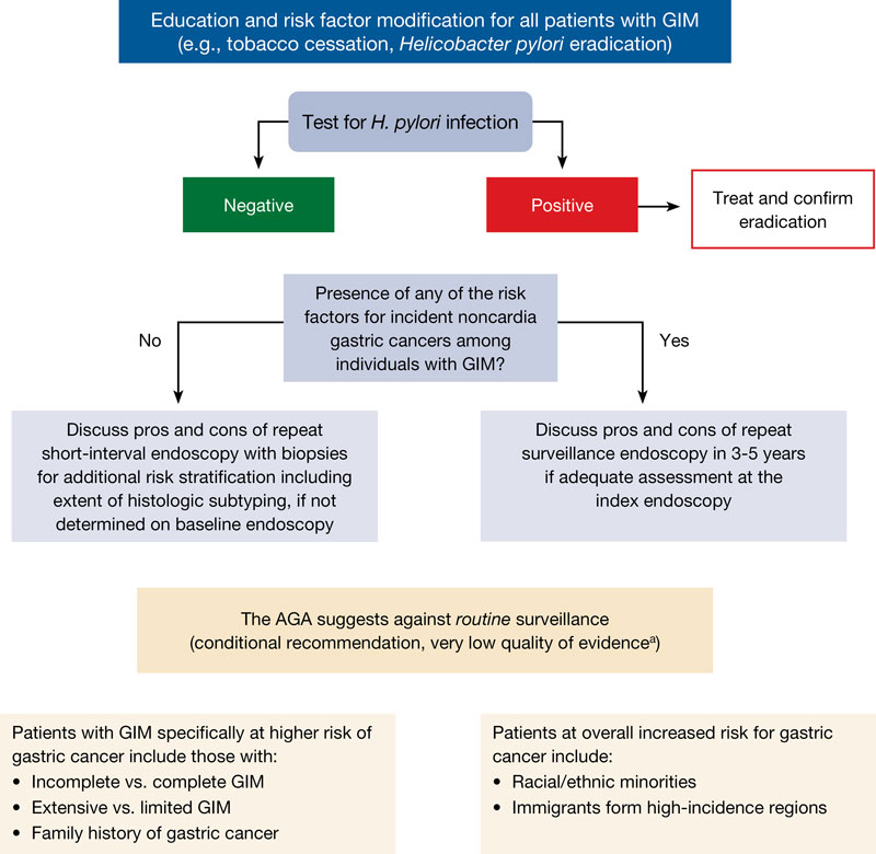 gastric cancer stomach cancer screening high risk patients