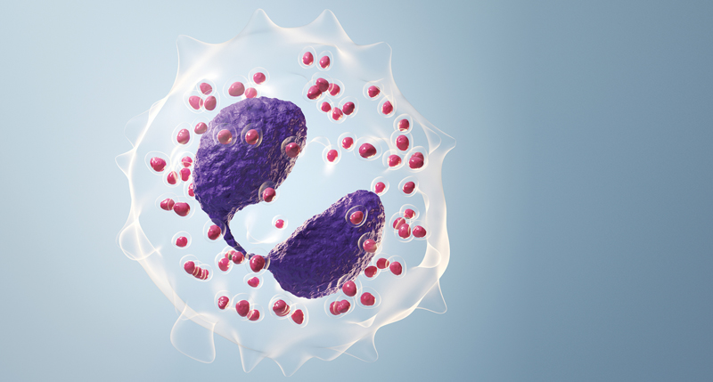 eosinophilic gastrointestinal disorders in children guidelines ESPGHAN ...