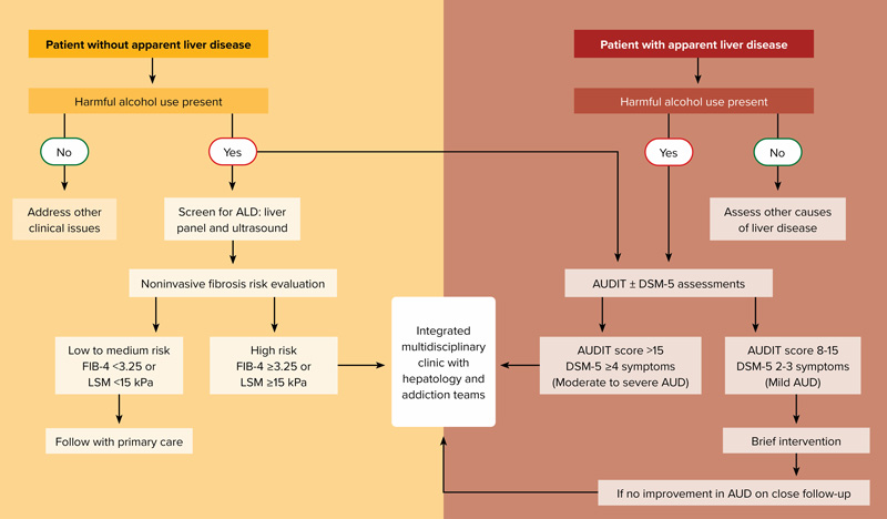 Alcohol-Associated Liver Disease Cirrhosis Hepatitis AUD