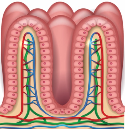 Expert Picks From ACG 2024: Part 1
