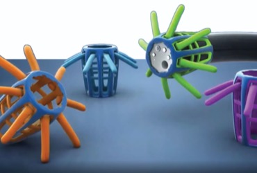 Device Improves Polyp Detection in Real-World Settings