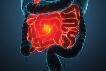IBD Hospital Diet Withholding
