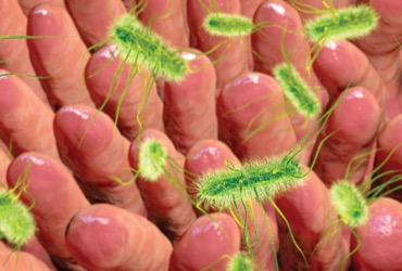 FMT Therapy Effective Preventing C. Difficile