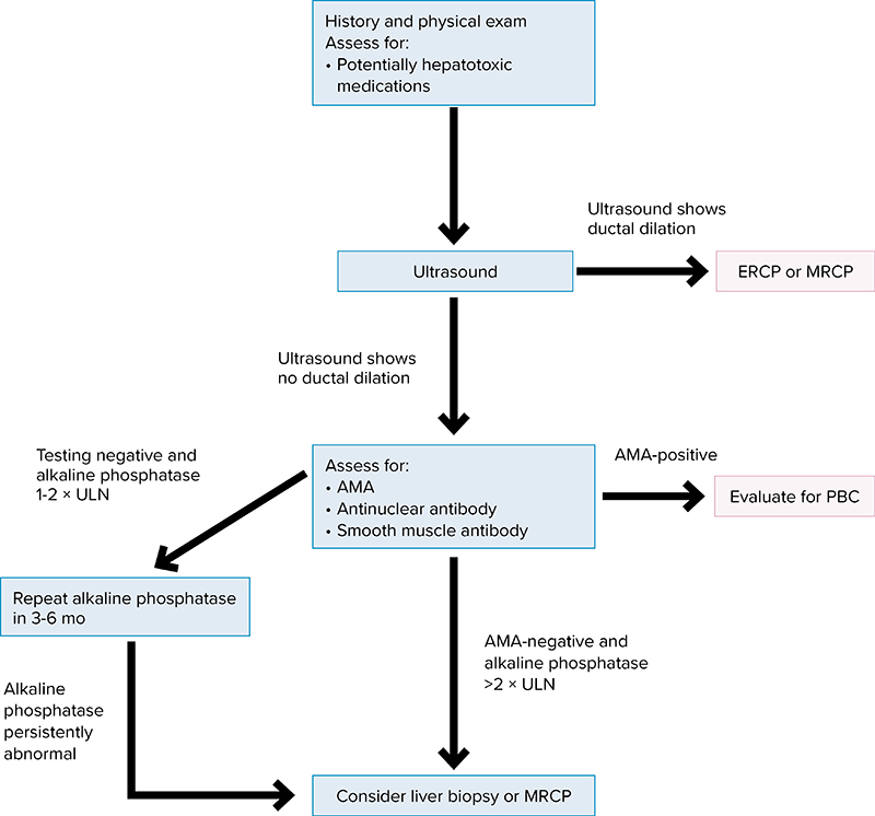 Abnormal Liver Tests Evaluation Approach