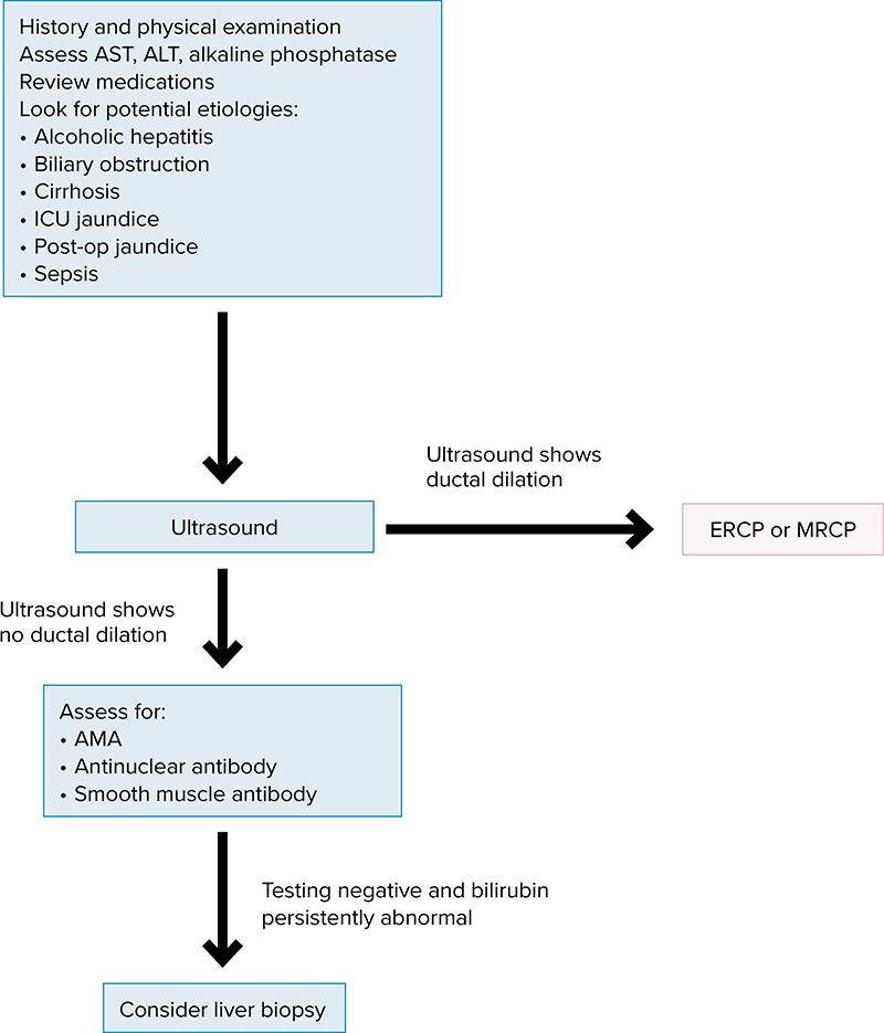 Abnormal Liver Tests Evaluation Approach