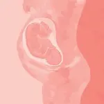 FDA Endoscopy Endoscopic Hemostasis System Nexpowder Medtronic