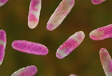 FDA Approves Emblaveo to Treat Certain Complicated Intraabdominal ...