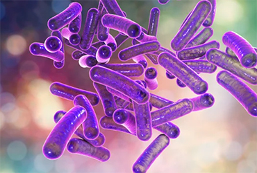 FDA Clears New Versions of bioMérieux Biofire Filmarray GI Panel Mid